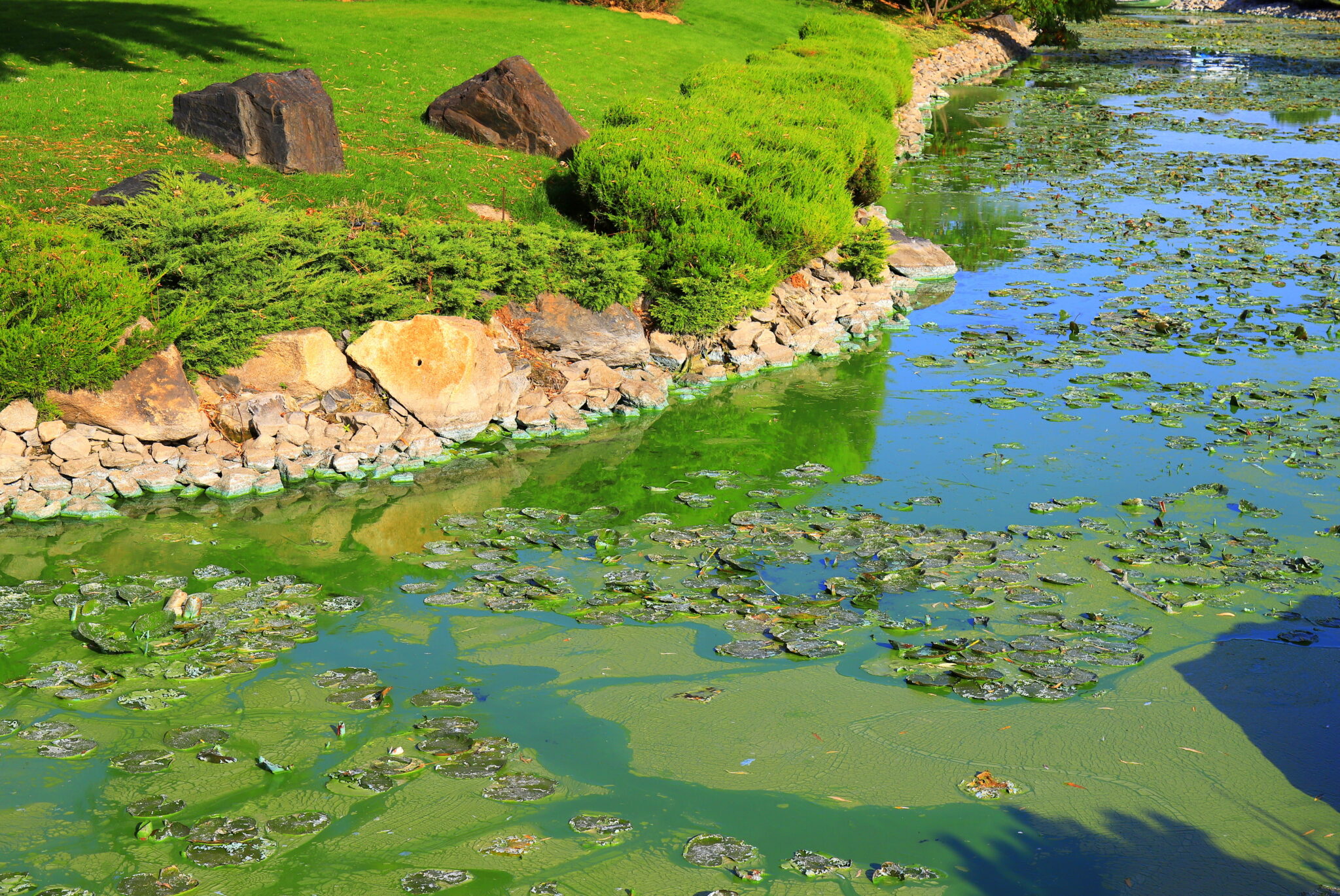 Floating Debris and Weed Boom for Blue-Green Algae Prevention | Akuna